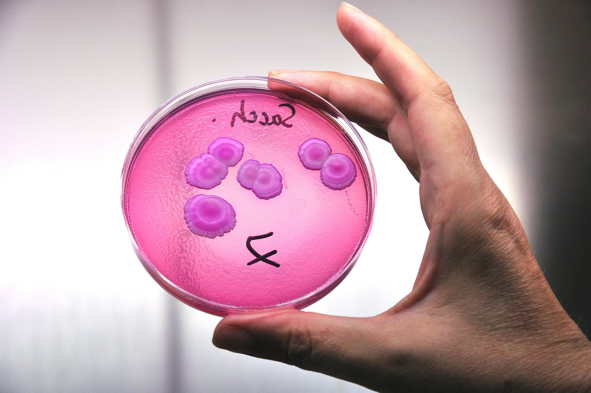 Laboratoire analyse microbiologique alimentaire | AQUALEHA Laboratoire analyse microbiologique alimentaire | AQUALEHA