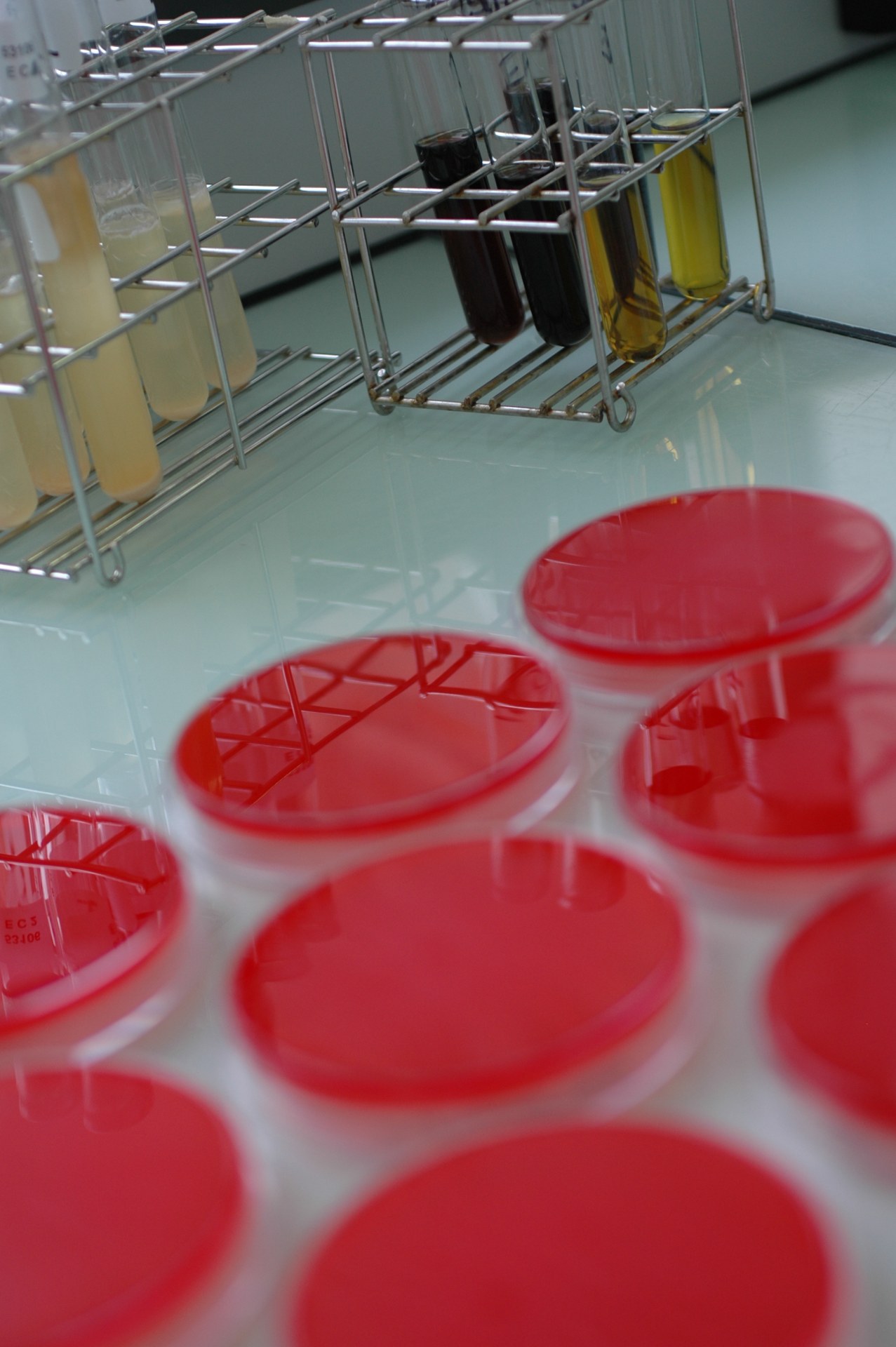 Analyse microbiologique des aliments - Hygiène alimentaire | AQUALEHA Analyse microbiologique des aliments - Hygiène alimentaire | AQUALEHA
